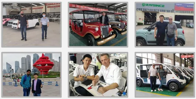 1. Hot Sell China Manufacture Electric Adult Raysince Rhd Mini Electric Car