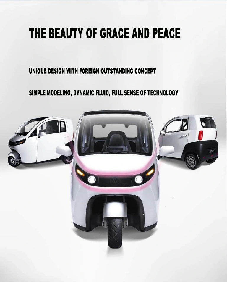 Raysince New Design Three Wheel Electric Car with EEC Certificate