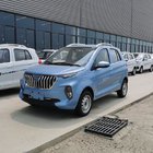 Raysince 5 doors 4 seats Electric car Wholesale cheap price china electric cars for sale