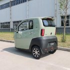 Raysince electrical mini car EEC certificated electric three-wheelers hot sales to Europe